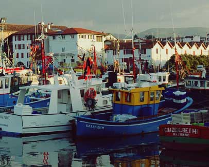 The Basque Sea at your Table - A Taste of Spain